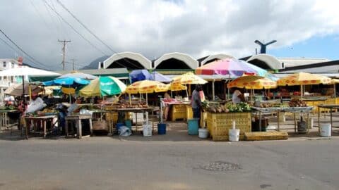 Retail Therapy: Unmissable Boutiques and Markets to Explore in Dominica ...